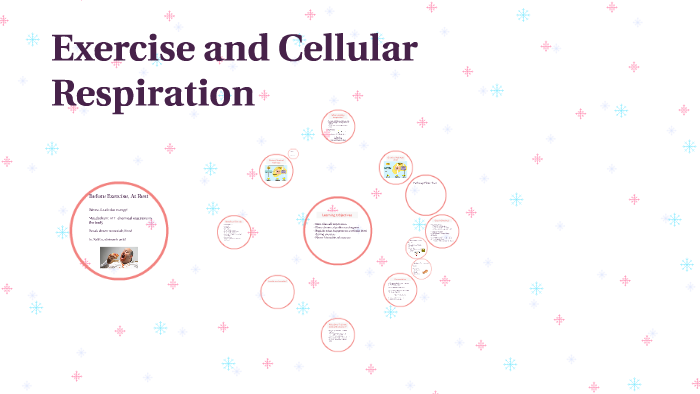 Exercise and Cellular Respiration by Kelly Titus on Prezi