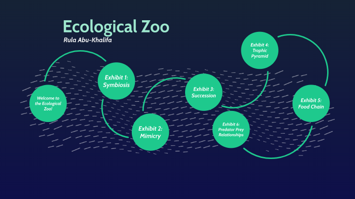 Ecological Zoo Project by rula abu-khalifa on Prezi