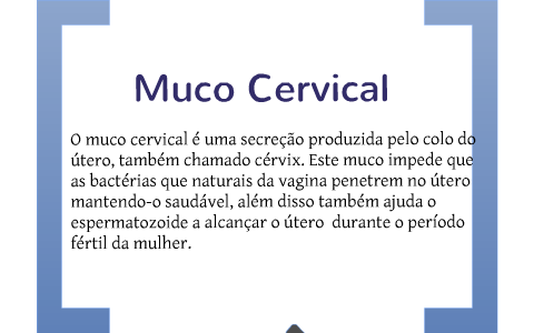 Muco cervical by Thaiane Pareira on Prezi
