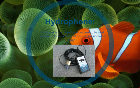 Marine Science Tools! by Ariadna Gonzalez on Prezi