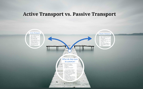 Active Transport vs. Passive Transport by Chloe H on Prezi