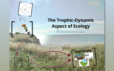 The Trophic-Dynamic Aspect of Ecology by Timothy Stephenson on Prezi