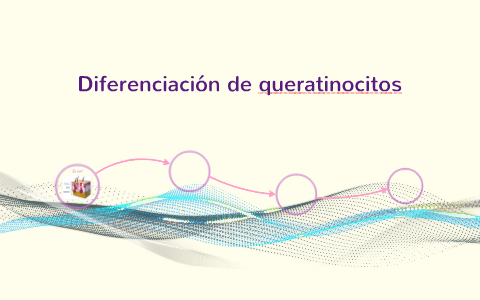 Diferenciación de queratinocitos by Nelli Ponikenusz on Prezi