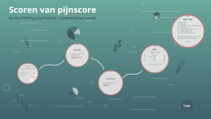 pijnscore by Marieke Postma on Prezi