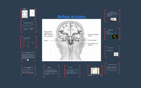 Reflejo Acústico by Maria B on Prezi