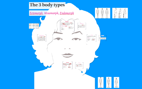The 3 body types by abby ochocinski on Prezi