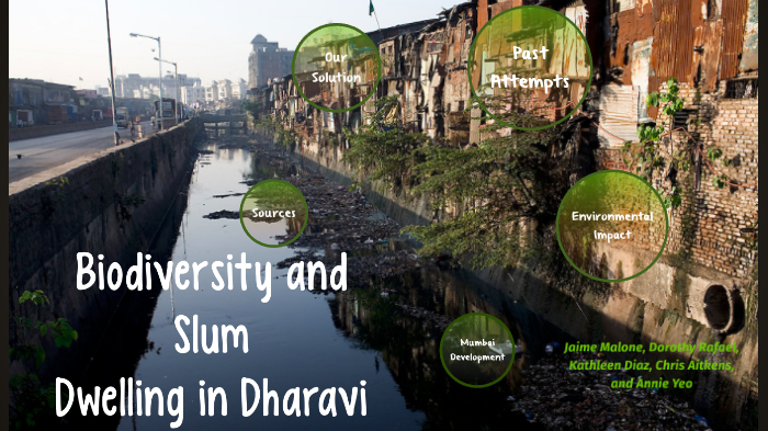 Biodiversity and Slum Dwelling in Dharavi by Jaime Malone on Prezi