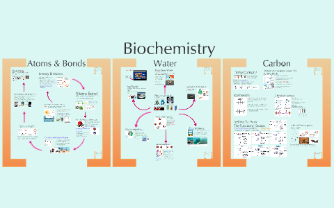 AP Bio- Biochemistry 1: Atoms, Water, & Carbon by Jessica Gregerson on ...