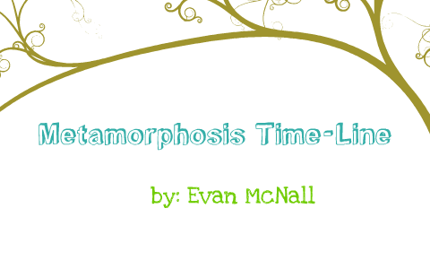 Metamorphosis Timeline by Evan McNall on Prezi