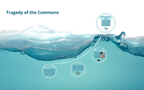 Tragedy Of The Commons Fish