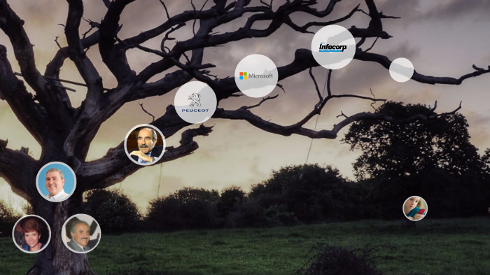 MEGA by Martin Naor on Prezi