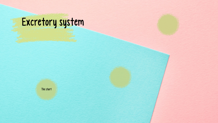 Excretory System Flow Chart by Daniel Donner on Prezi