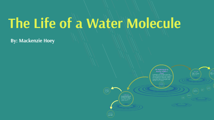 The Life of a Water Molecule by Mackenzie Hoey on Prezi