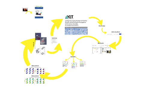 Solving The Inverse Problem Of ECG For Realistic Atrial Exci by Esraa ...