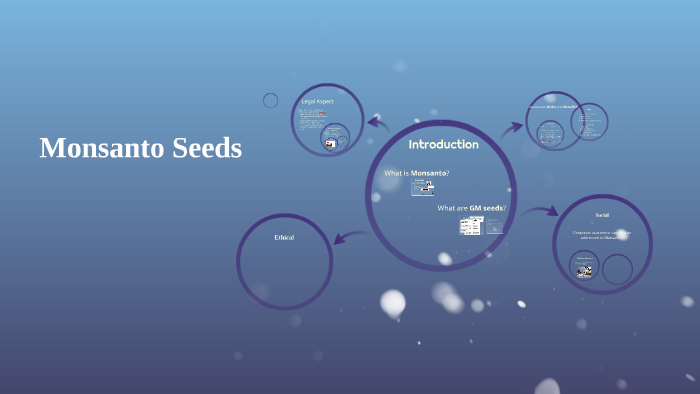 Monsanto Seeds by Yixin Liu