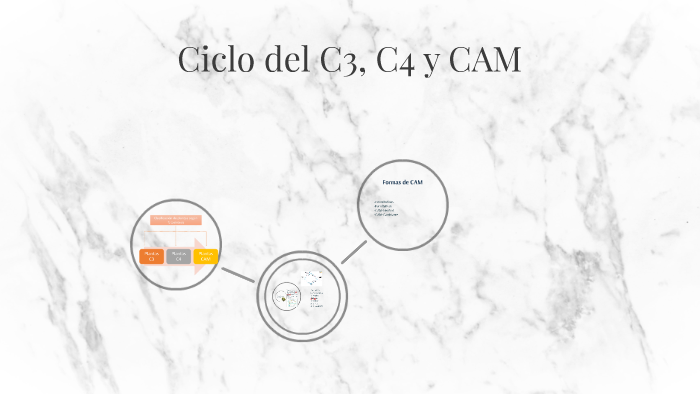 Ciclo del C3 y C4 by Edgar García on Prezi