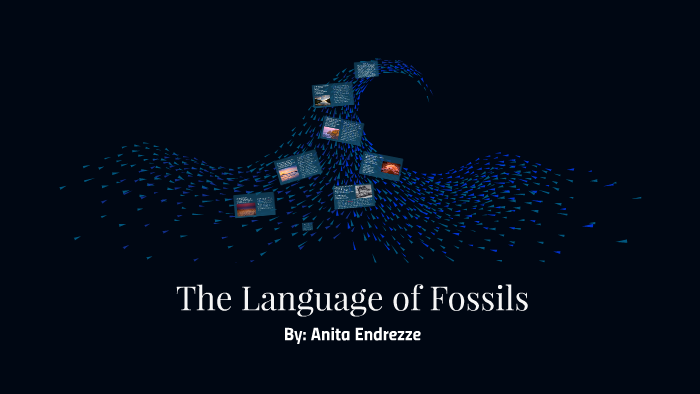 The Language of Fossils by Sean Smith on Prezi