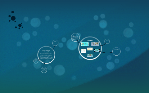 What Are Ocean Currents? by sophie riedemann on Prezi