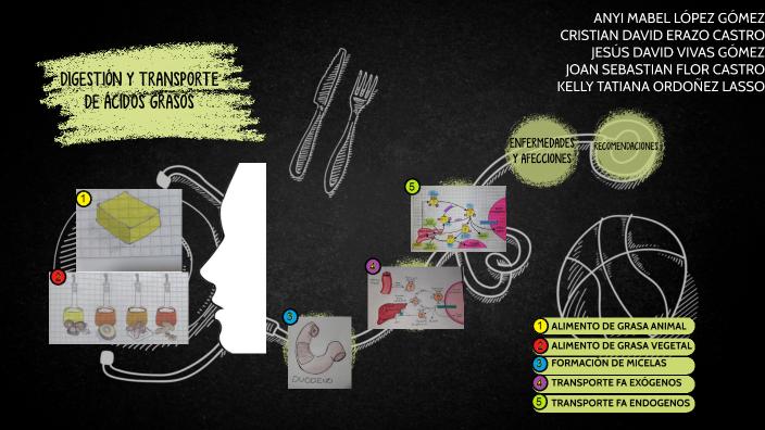 transporte exogeno y endogeno by ANYI LOPEZ GOMEZ on Prezi
