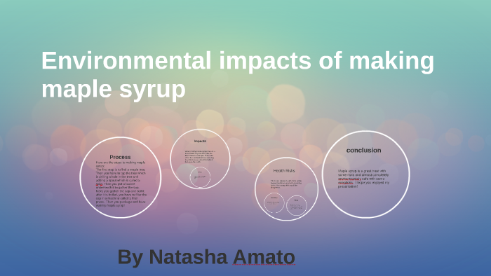 Environmental impacts of making maple syrup by Natasha Amato on Prezi
