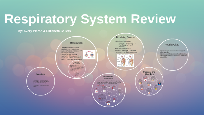 Respiratory System Review by on Prezi