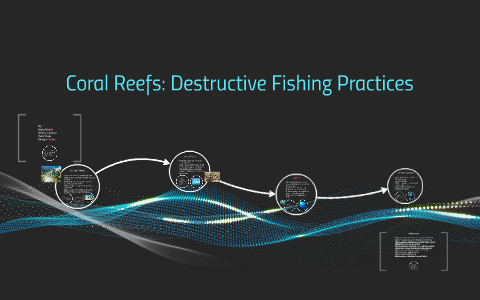 Coral Reefs: Destructive Fishing Practices by Mary Bickel on Prezi