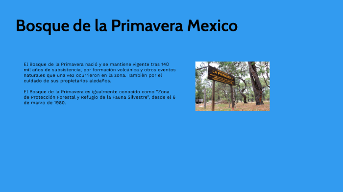Bosque de la Primavera Mexico by Diego Calle on Prezi