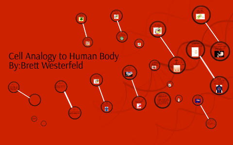 Cell analogy - Human Body by brett westerfeld