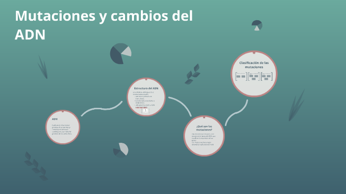 Mutaciones y cambios del ADN by Winston Romero Medina on Prezi