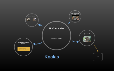 Koalas by Aisha Haynes on Prezi
