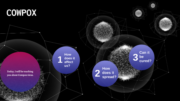Cow Pox by Grace Johnson on Prezi