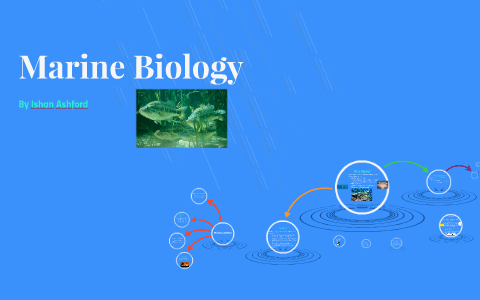 Marine Biology by on Prezi