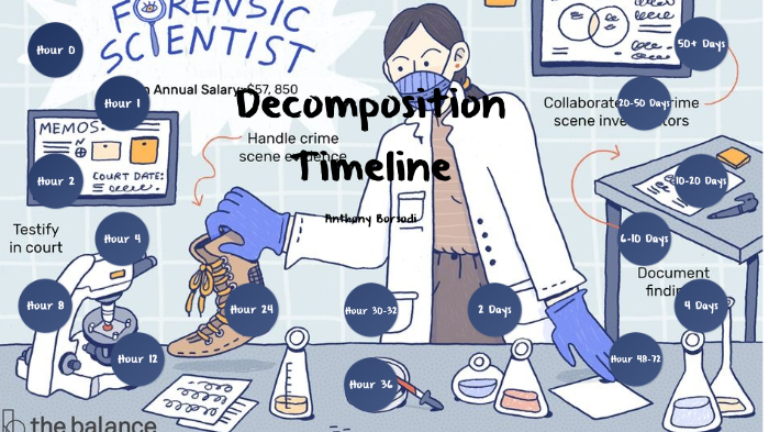 Decomposition Timeline by (Student) Anthony Borsodi on Prezi