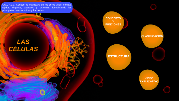 Estructura de los seres vivos by Ayla García on Prezi