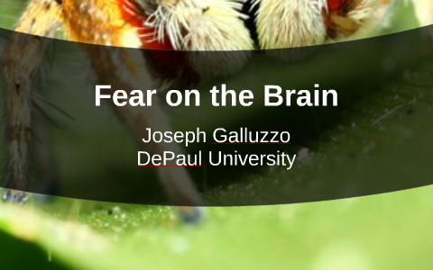 Fear on the Brain by Joseph Galluzzo on Prezi
