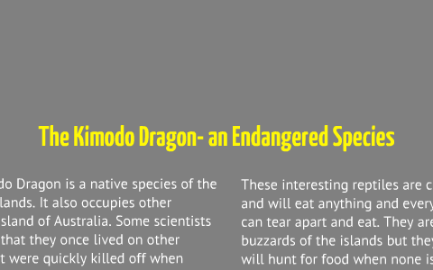 The Kimodo Dragon- an Endangered Species by Alexis Thompson on Prezi