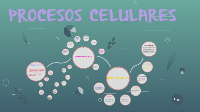 PROCESOS CELULARES by alexa velez on Prezi