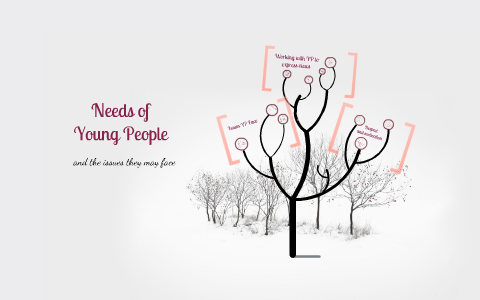 Understanding Youth Work Principles and Practice (301) Assignment 1 ...