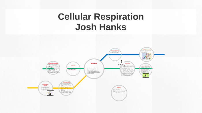 Cellular Respiration by josh hanks on Prezi