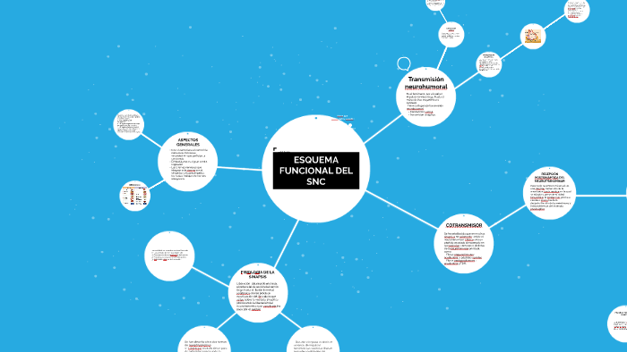 ESQUEMA FUNCIONAL DEL SNC by Dayana Morales Barragán on Prezi