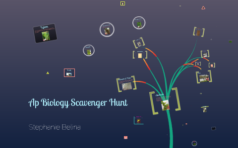 AP BIO Scavenger Hunt Stephanie Belina by Stephanie Belina on Prezi