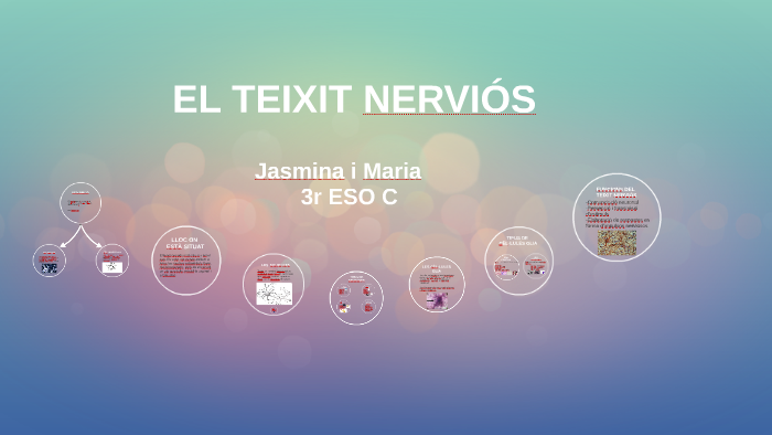EL TEIXIT NERVIÓS by Maria Bañeres on Prezi