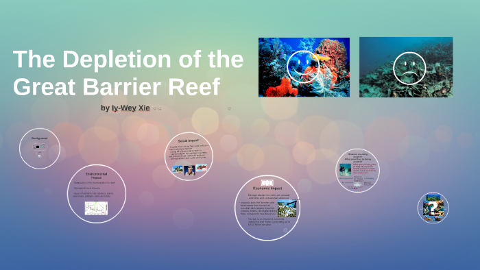 The Depletion of the Great Barrier Reef by Devine Devine on Prezi