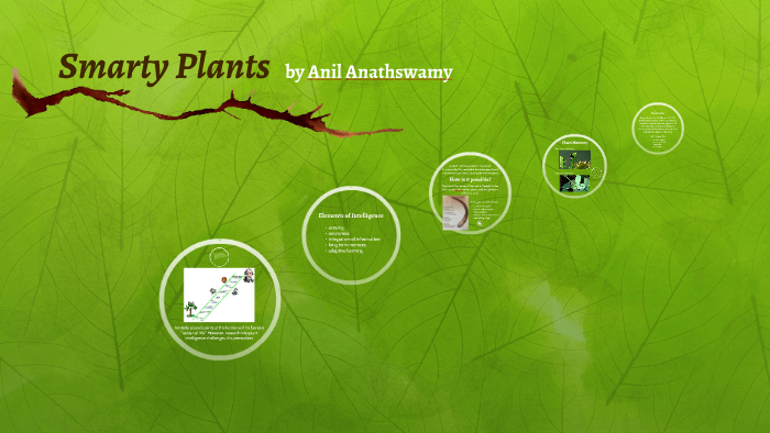 Smarty Plants by Caroline Simons on Prezi