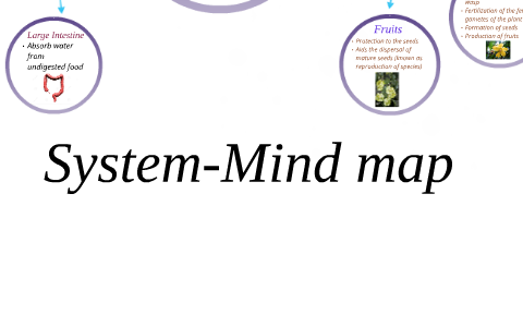 System-Mind map by teoh carin on Prezi