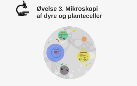 Øvelse 3. Mikroskopi af dyre og planteceller by Sofie Paxevanos on Prezi
