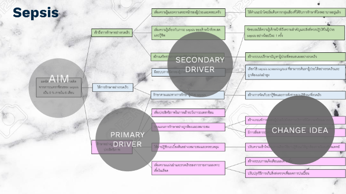 Sepsis driver diagram by Yanisa Jarusyingdumrong on Prezi