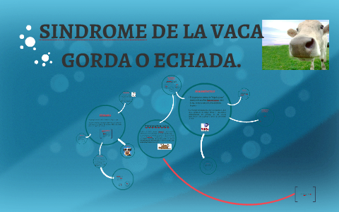 SINDROME DE LA VACA GORDA O ECHDA. by Gaby Ponce on Prezi