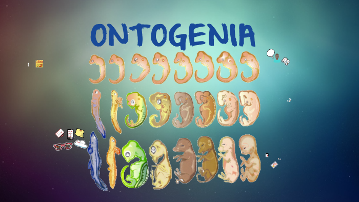 ONTOGENIA by Blanca Pantoja on Prezi