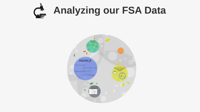 Analyzing our FSA Data by Hannah Stafford on Prezi
